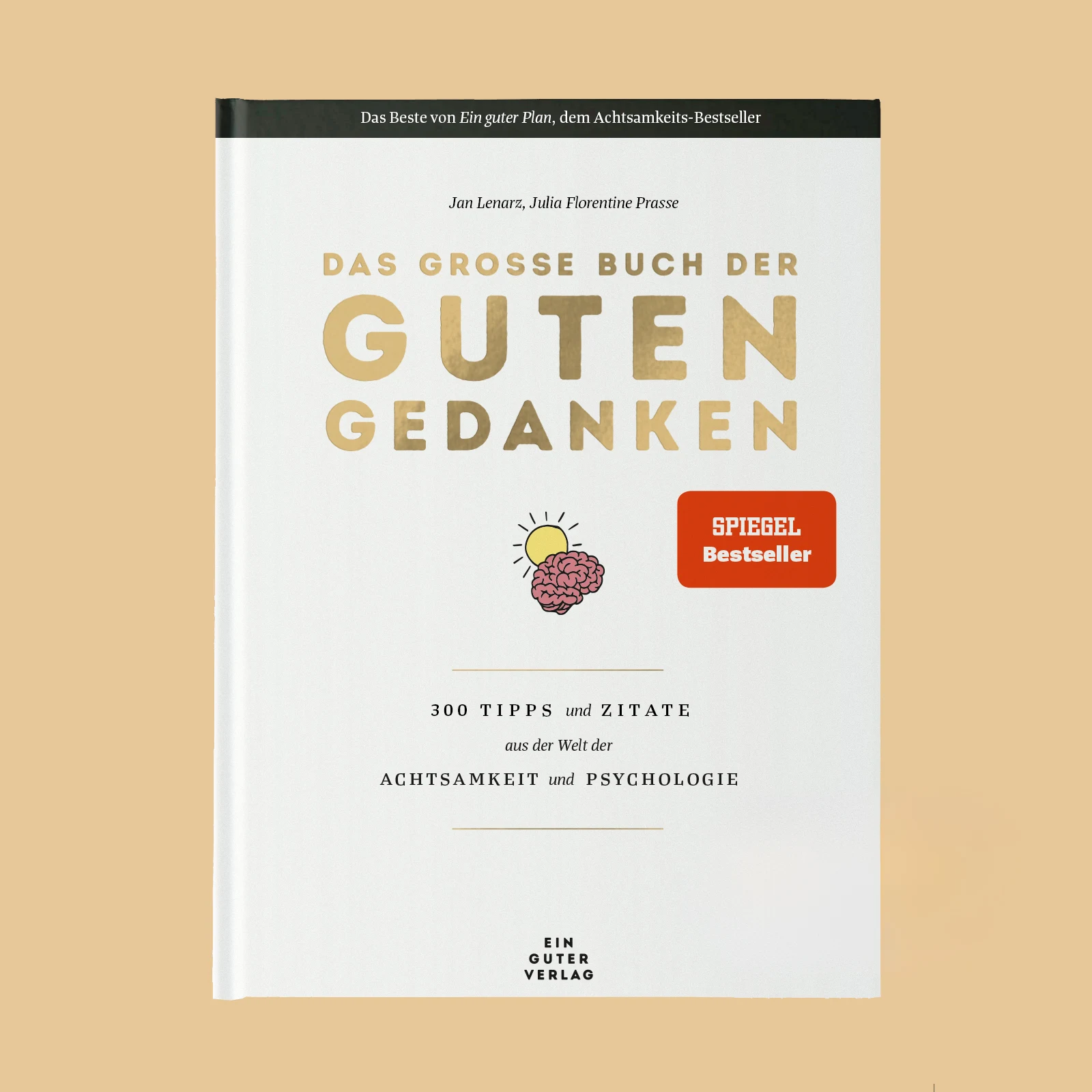 Das große Buch der guten Gedanken - Ein guter Plan
